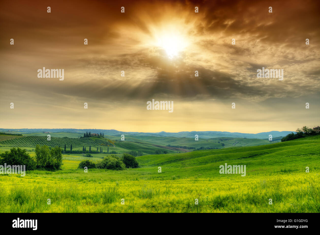 Beautiful morning Tuscany landscape with typical farm house, Italy Shot ...