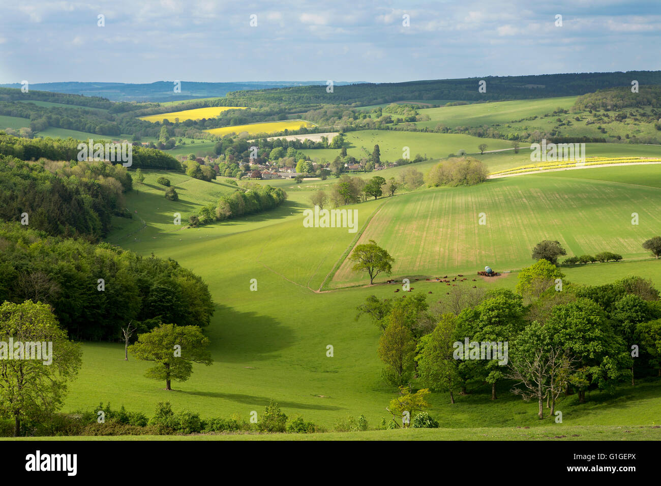 Early summer in the South Downs of England. Rolling green chalk hills ...