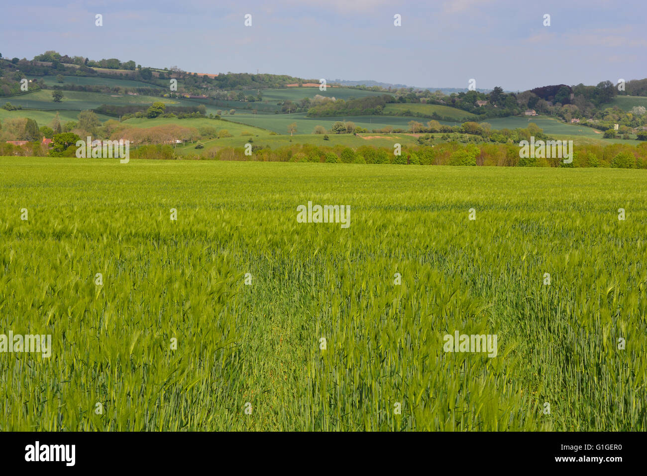 English summer landscape hi-res stock photography and images - Alamy