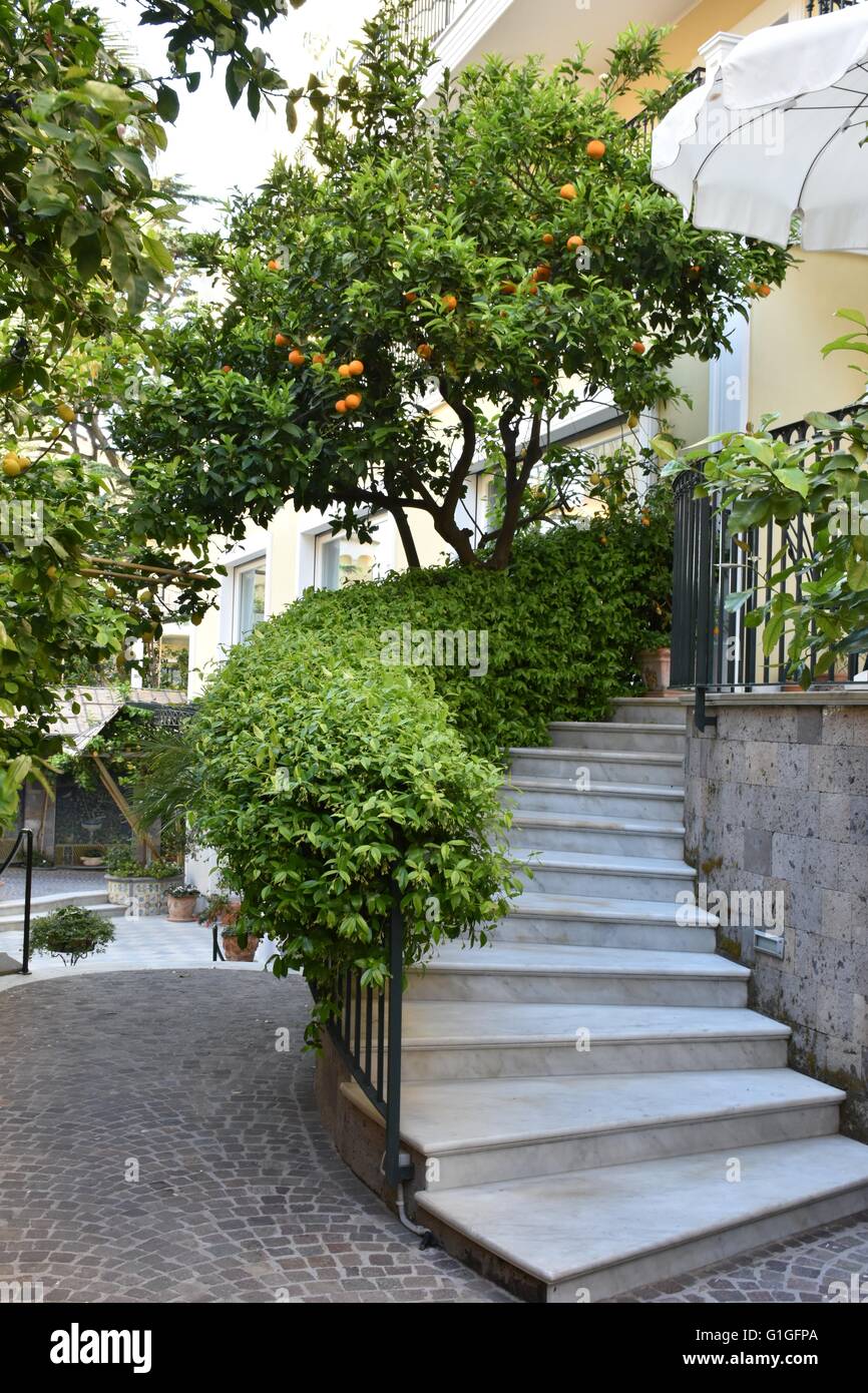 Entrance to stairs hi-res stock photography and images - Alamy