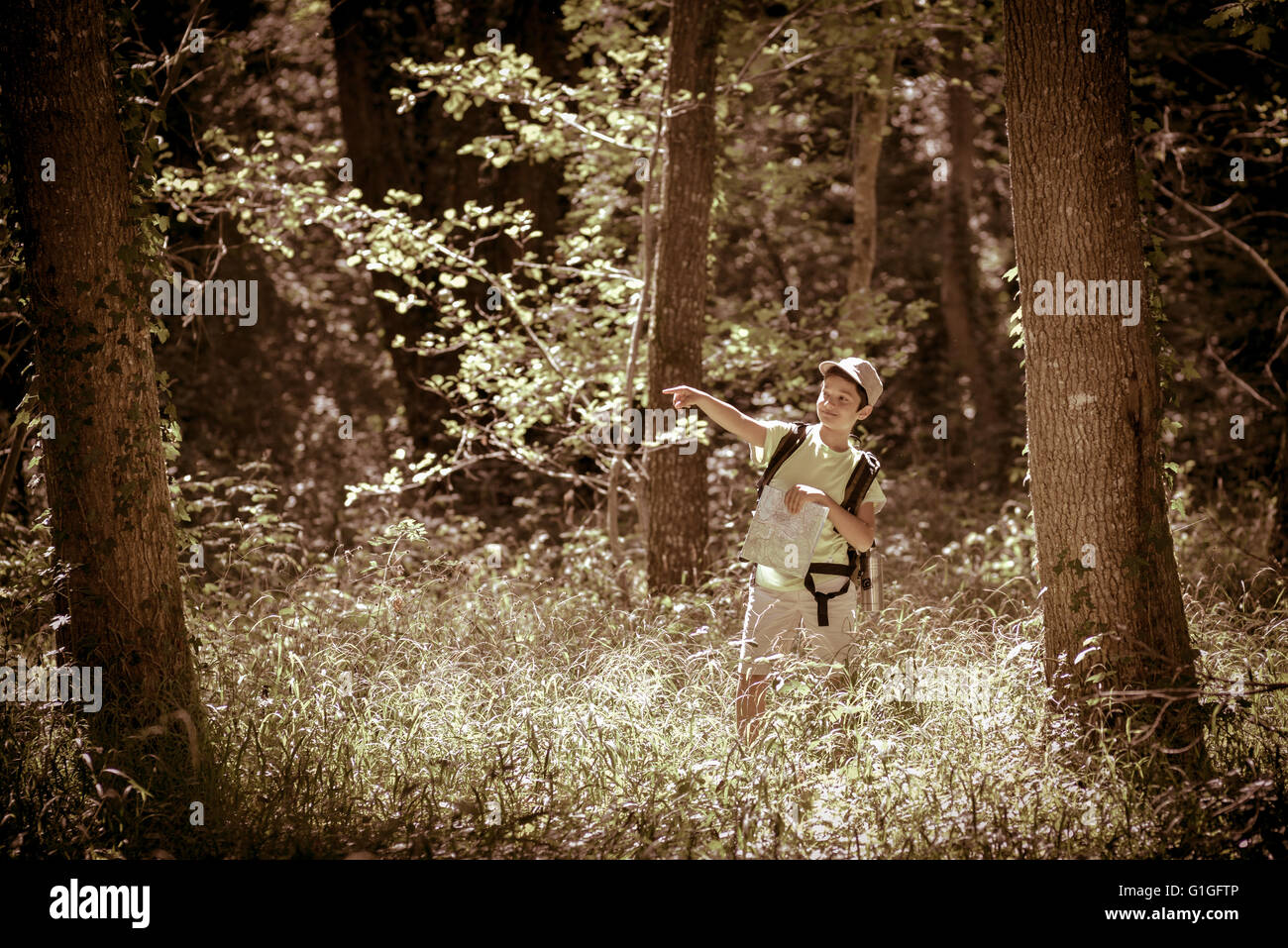 Little boy walking alone in forest, France Stock Photo - Alamy Little boy walking alone in forest, France Stock Photo - Alamy