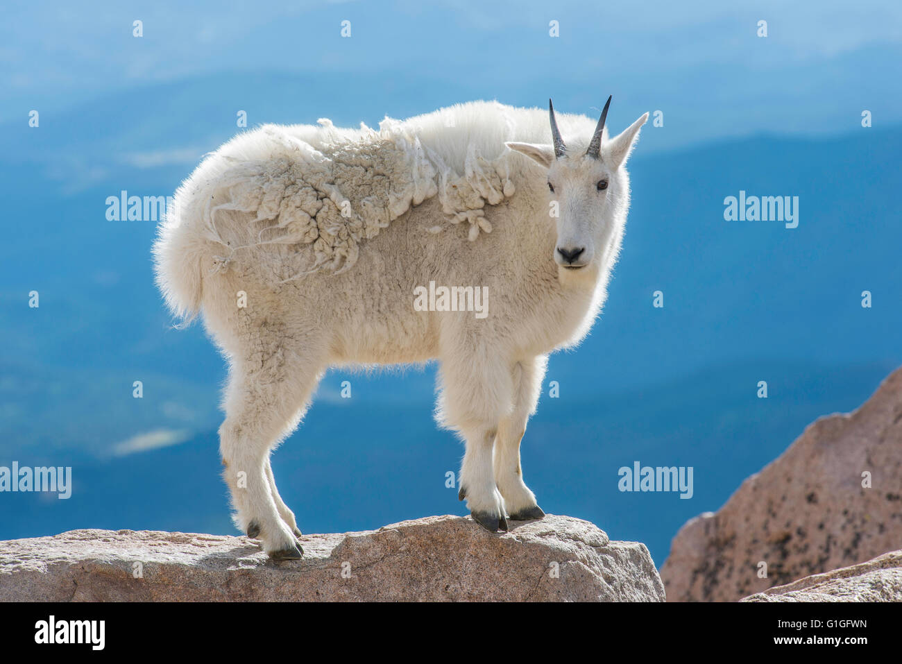 Boulder zones hi-res stock photography and images - Alamy