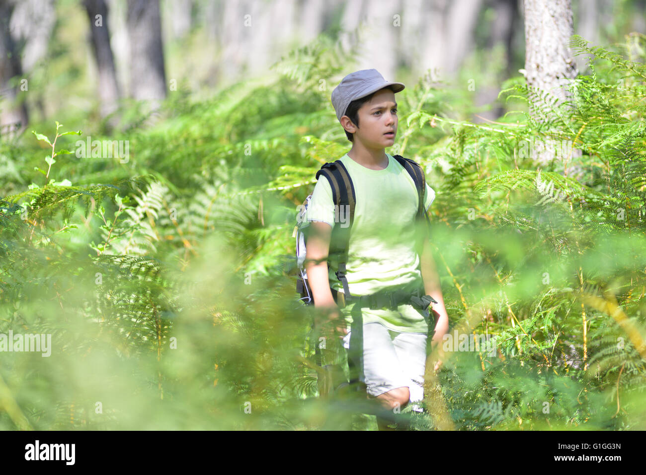 Little boy walking alone Stock Photo - Alamy Little boy walking alone Stock Photo - Alamy