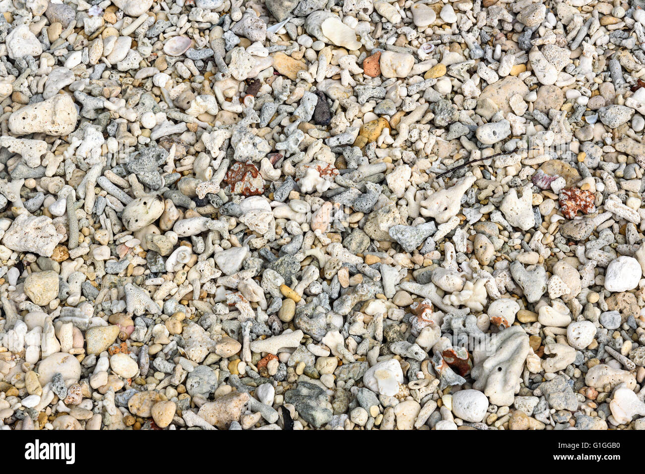 Many small corals on the beach. Background texture Stock Photo - Alamy