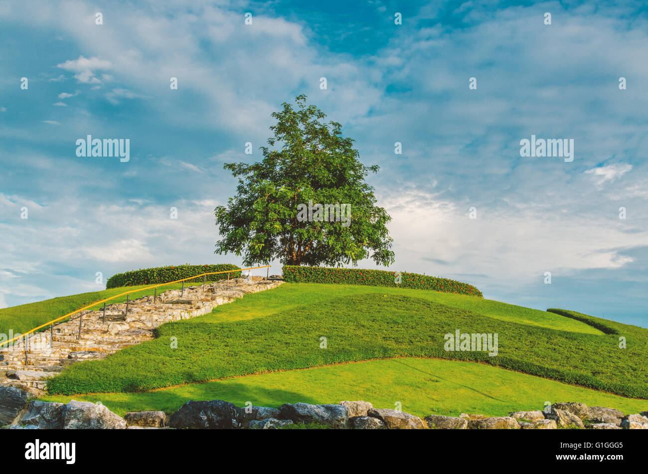 Green little planet with grass on its surface, alone tree. Artificial ...