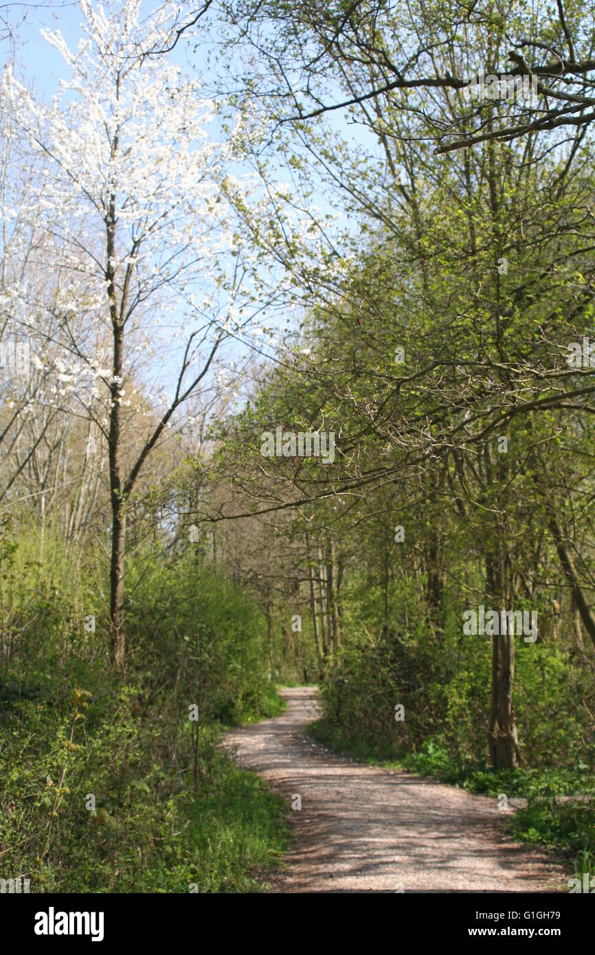 Warnham Nature Reserve High Resolution Stock Photography and Images - Alamy