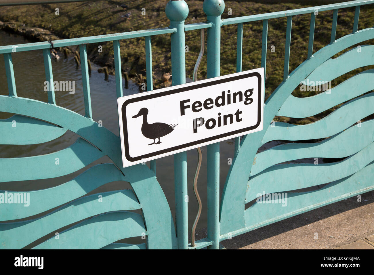 Duck feeding point, River Avon bridge, Chippenham, Wiltshire, England ...
