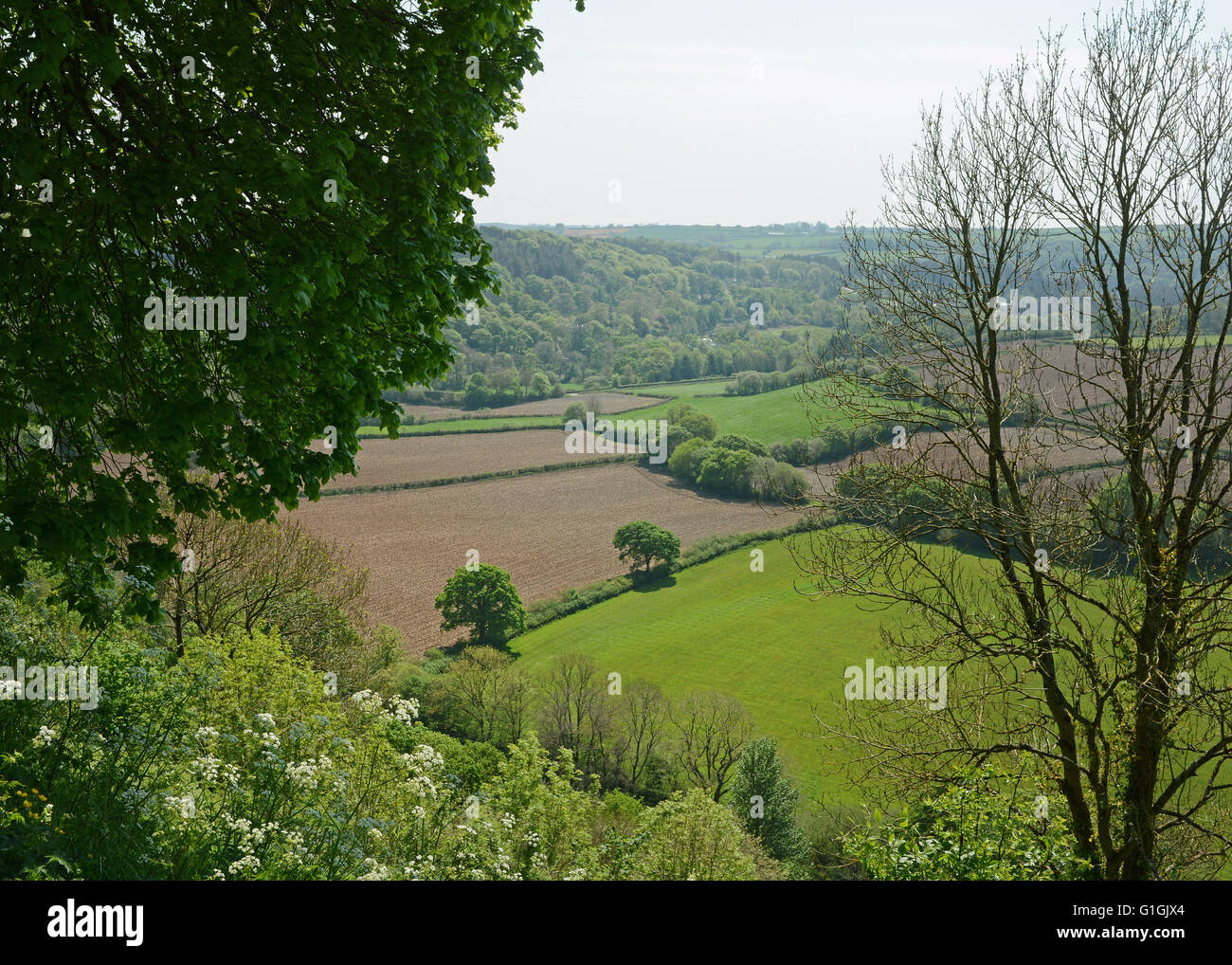 Torrington Castle High Resolution Stock Photography and Images - Alamy