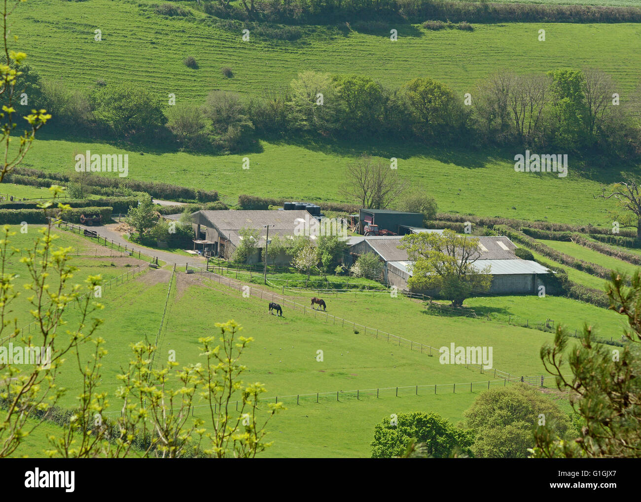 Torrington castle hi-res stock photography and images - Alamy