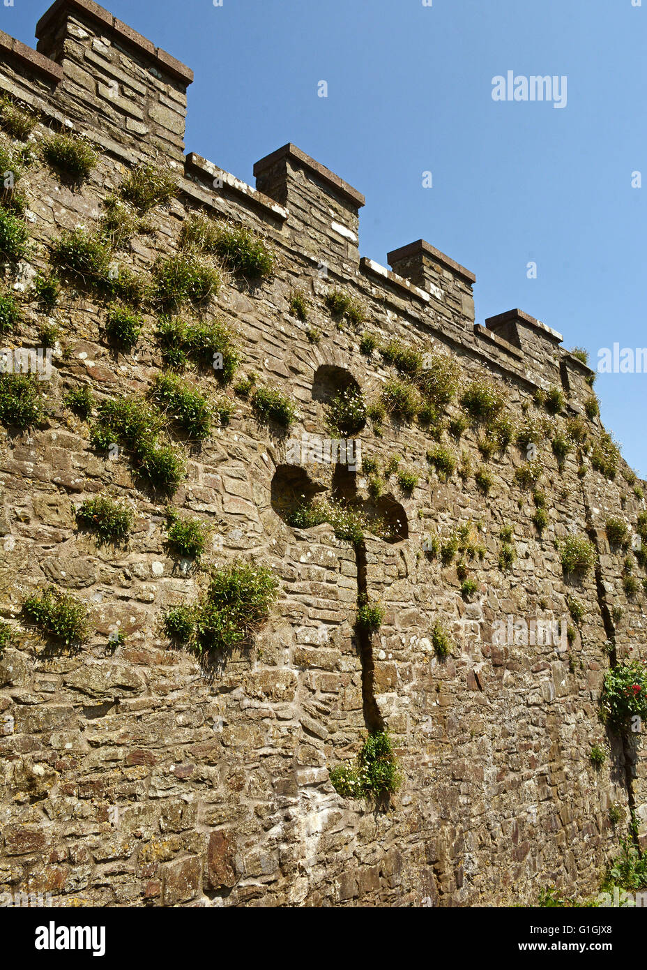 Torrington castle hi-res stock photography and images - Alamy