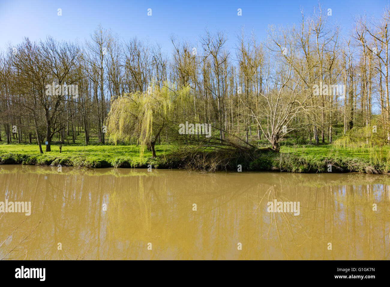 Views along the Medway Valley Walk between Barming and East Farleigh ...
