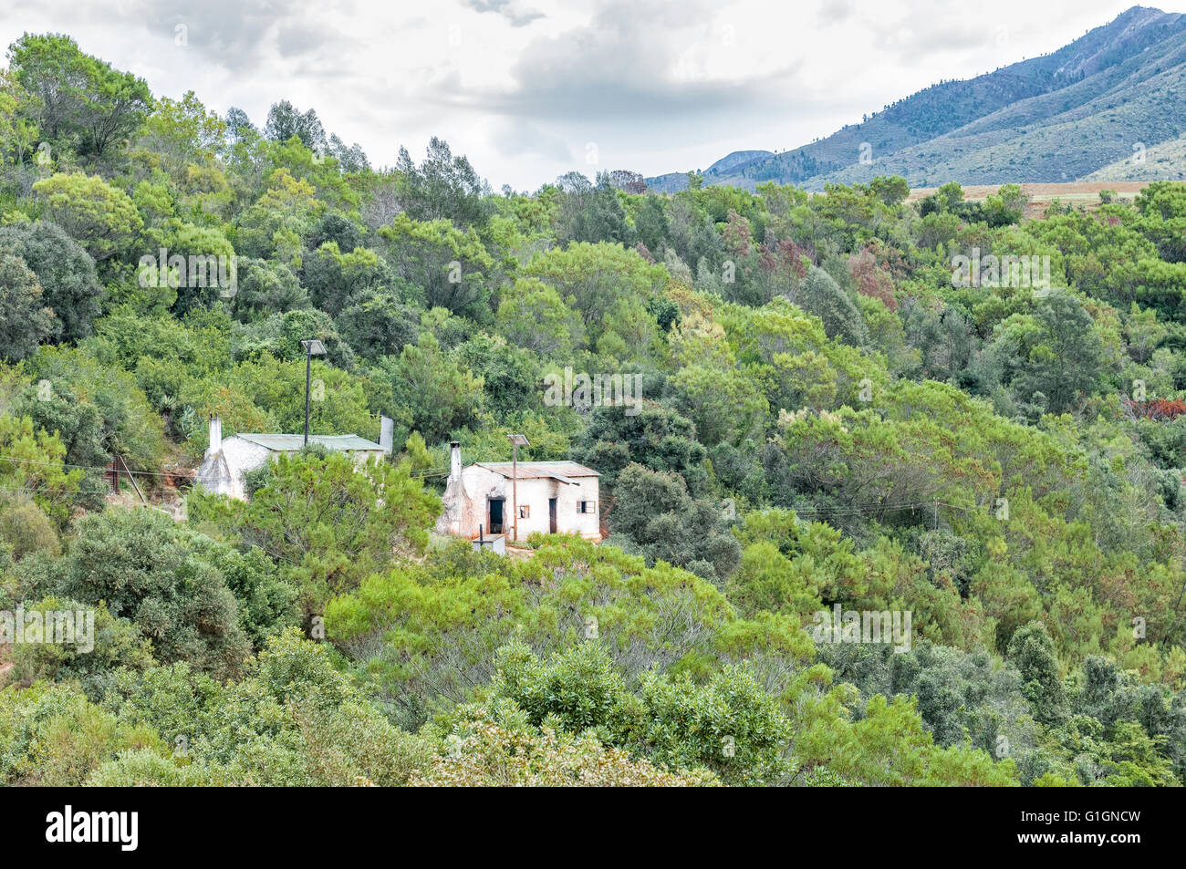 Two farm worker houses on a gloomy day, each with a solar panel, in the ...