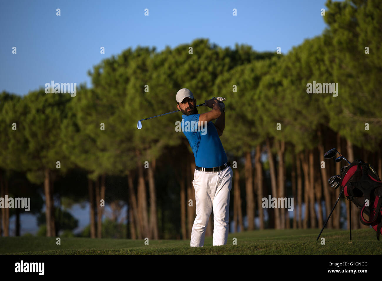 golfer shot ball from sand bunker at golf course with beautiful sunset ...