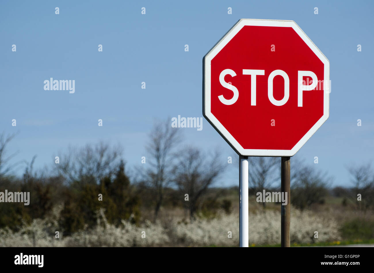 Bright stop roadsign with blurred spring nature as background Stock ...