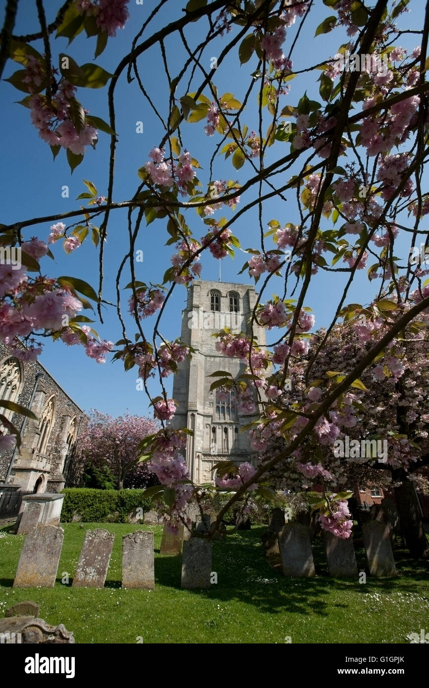 St Michael's Church Beccles Stock Photo - Alamy