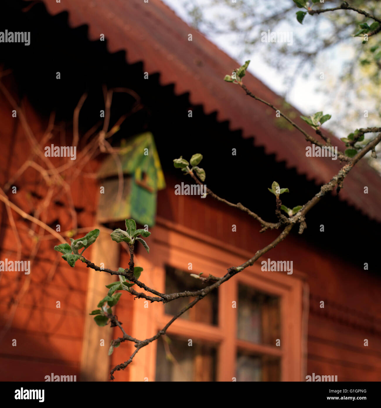 Nesting Box And Tree Stock Photo - Alamy