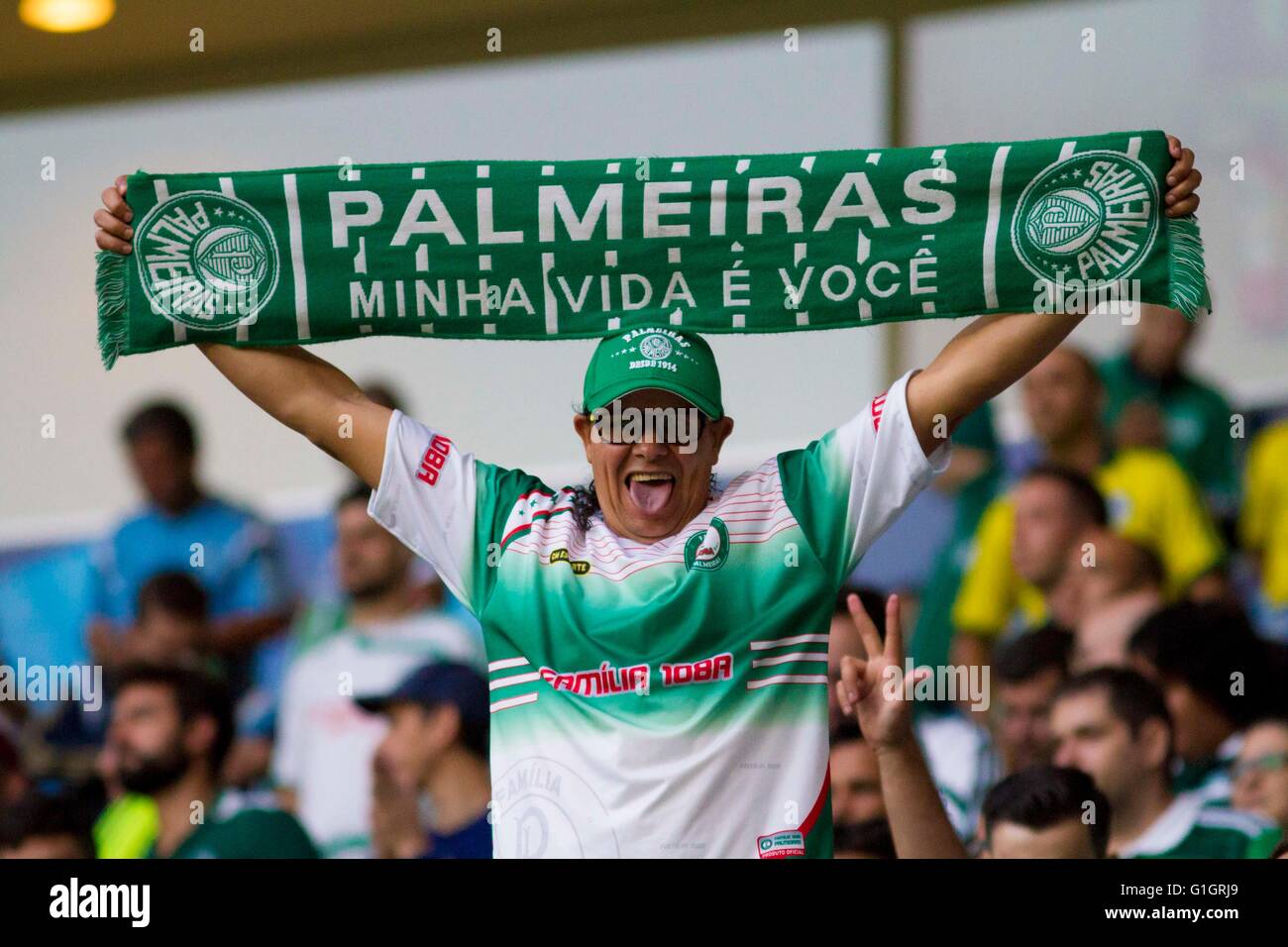 SAO PAULO, Brazil - 05/14/2016: PALM X ATHLETIC PR - Fan palm trees ...
