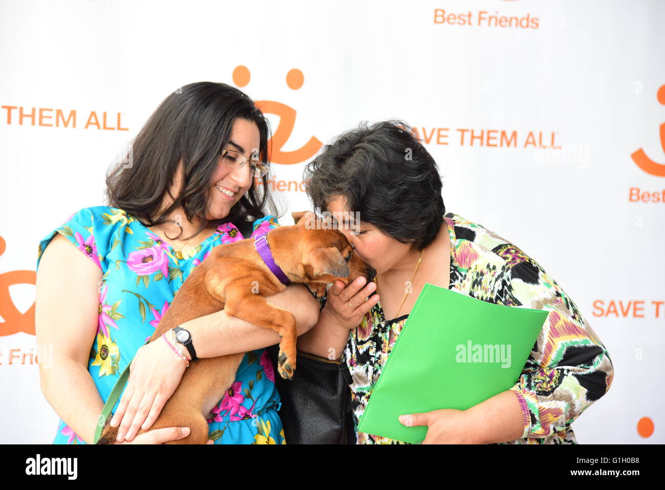 Rescue animal in puerto rico hi-res stock photography and images - Alamy