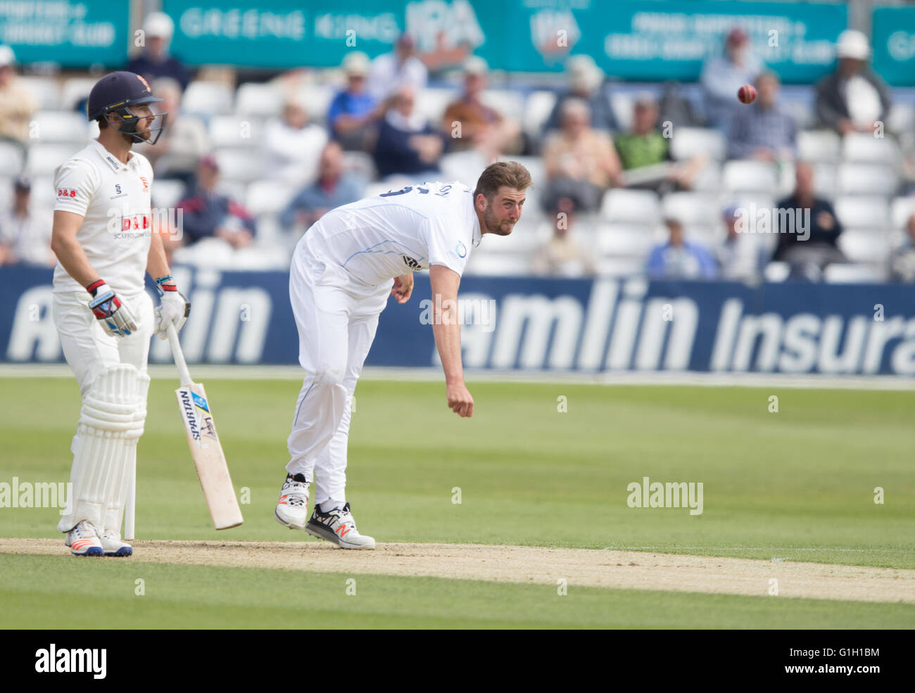 Cricket ground chelmsford 2016 hi-res stock photography and images - Alamy