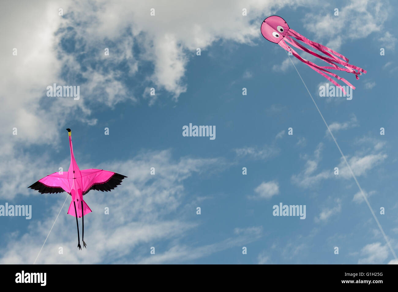 Flamingo kites hi-res stock photography and images - Alamy