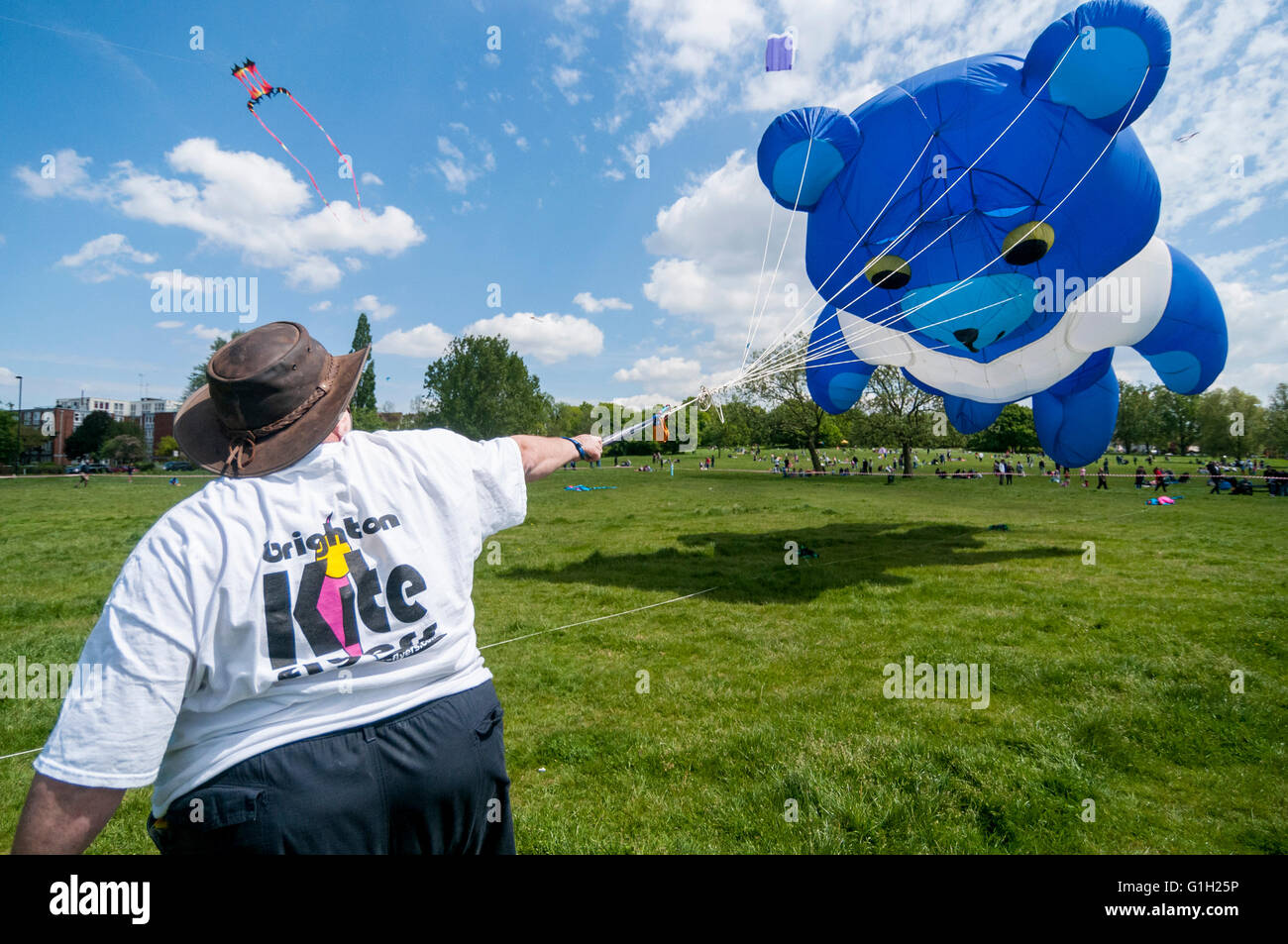 Teddy bear fans hi-res stock photography and images - Alamy