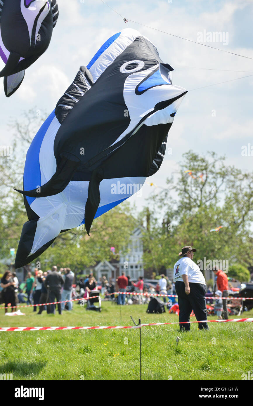 Streatham Common, London, UK. 15th May 2016. Streatham Common Annual ...
