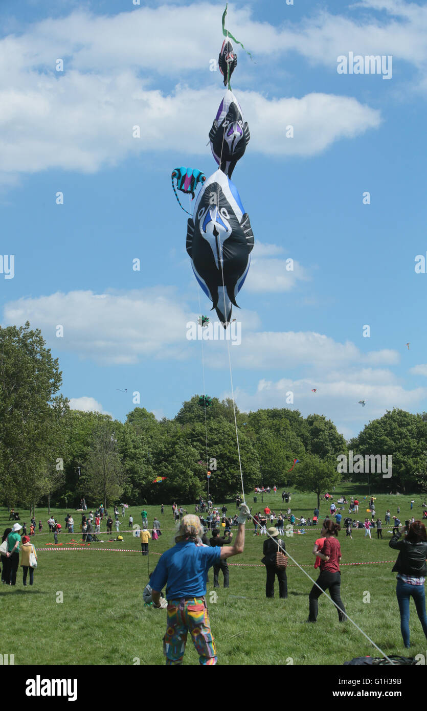 Lovely kites hi-res stock photography and images - Alamy
