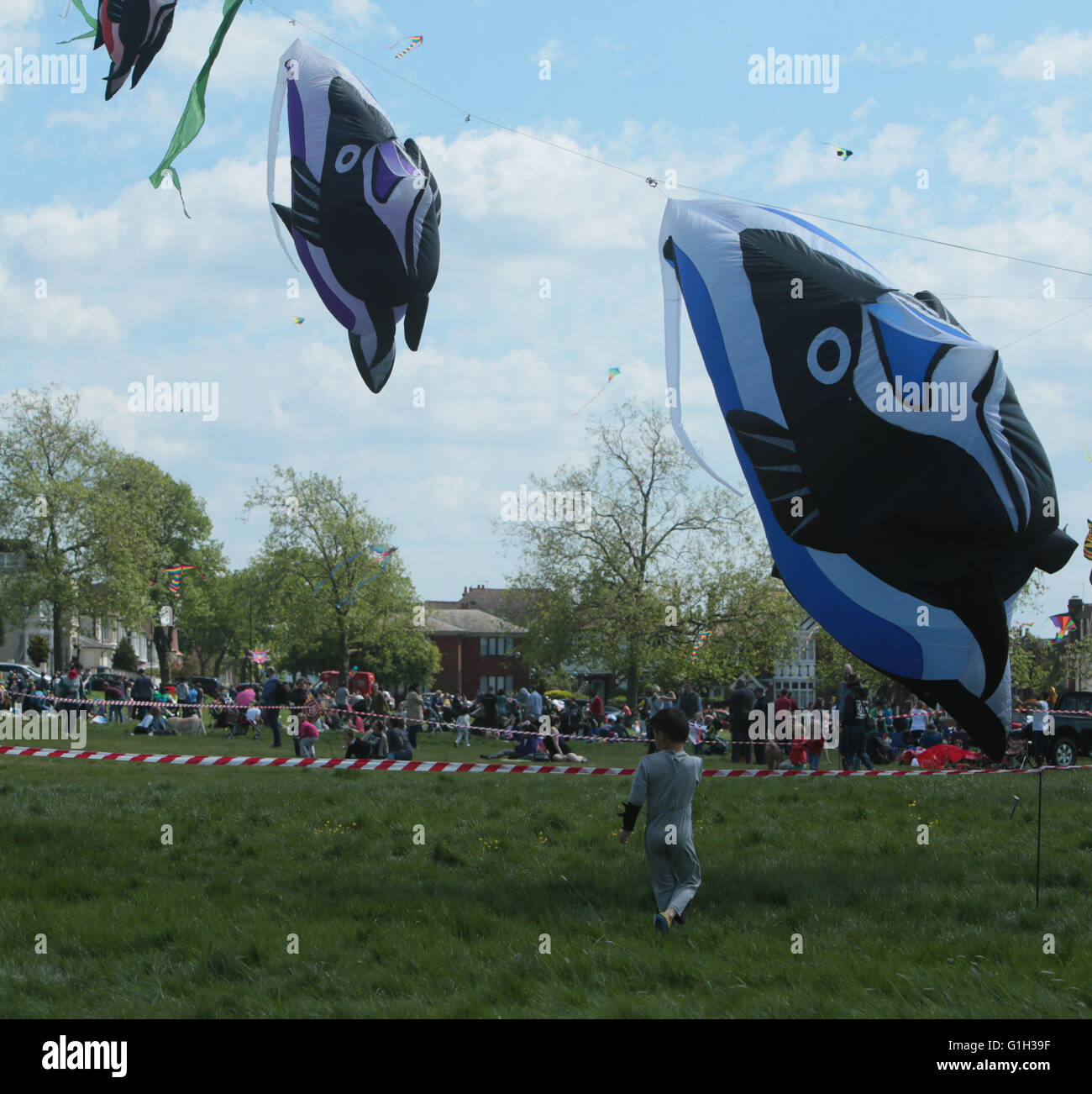 London UK.15 May.2016 .Streatham Common celebrated their 18th Kite ...