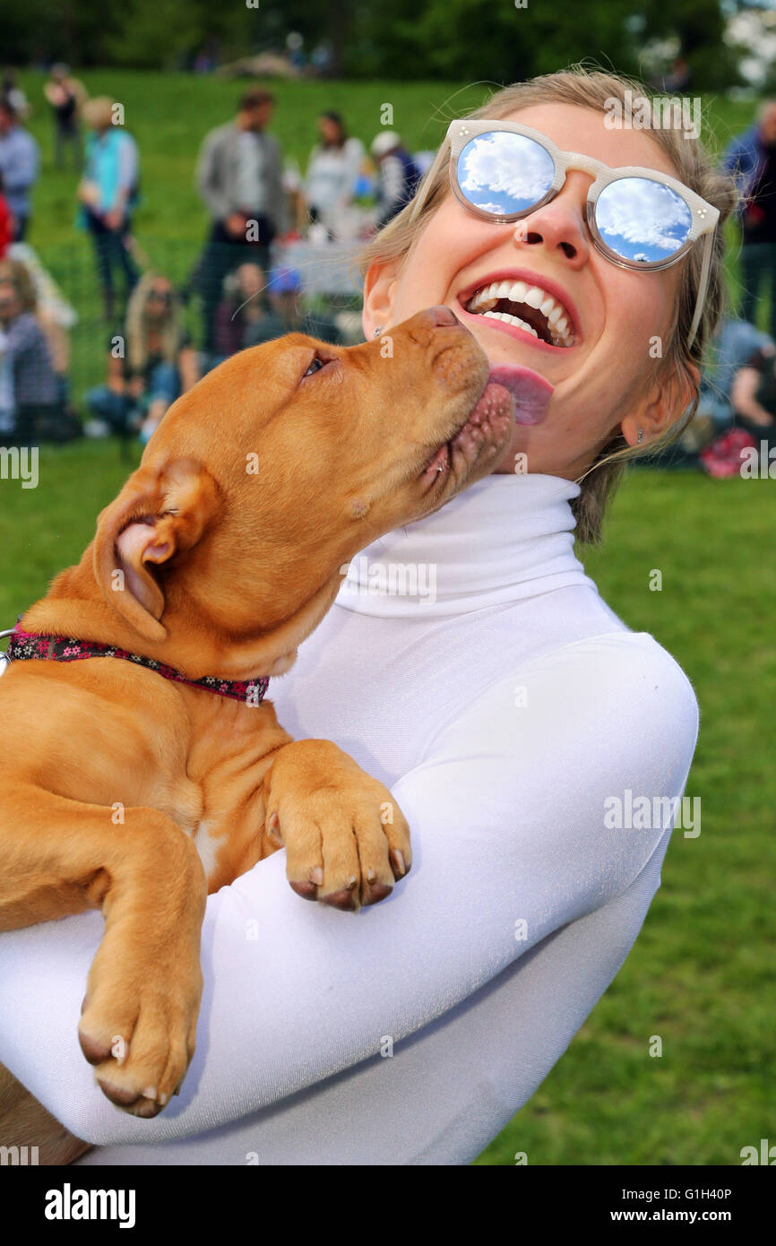 Rachel riley dog hi-res stock photography and images - Alamy