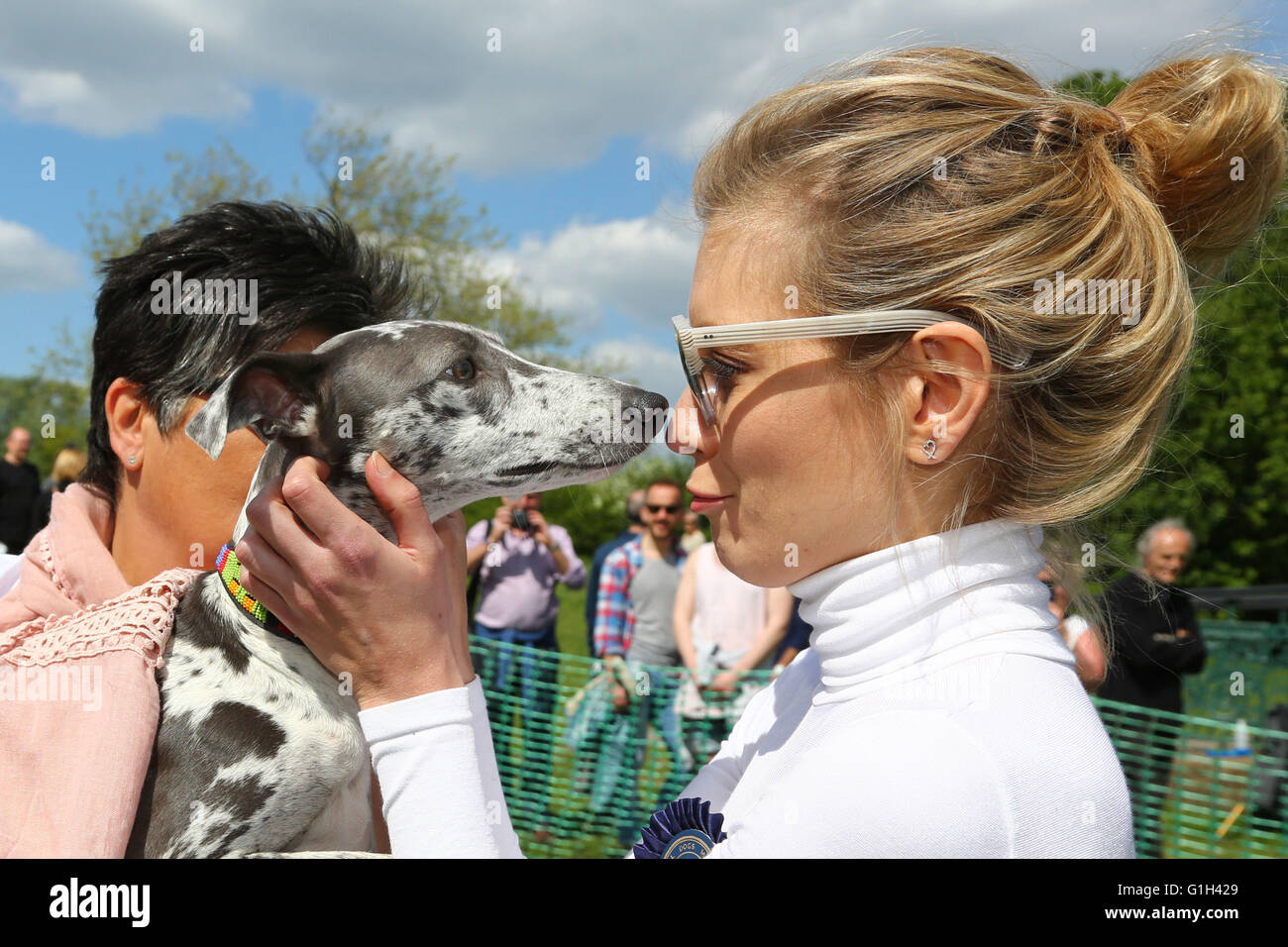 Rachel Riley, TV Presenter on Countdown, with Luna the Whippet ...