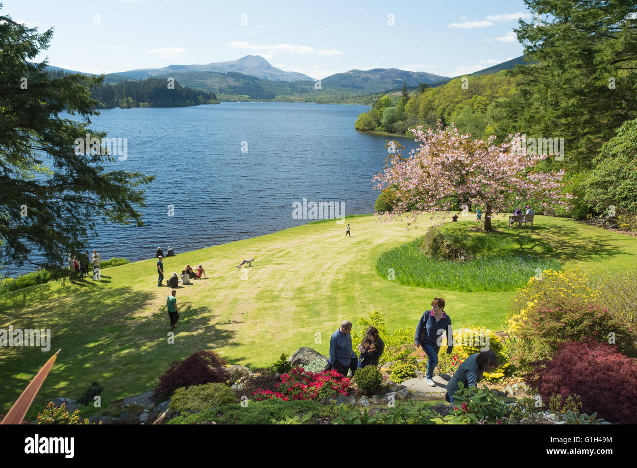 Credit worthy hi-res stock photography and images - Alamy