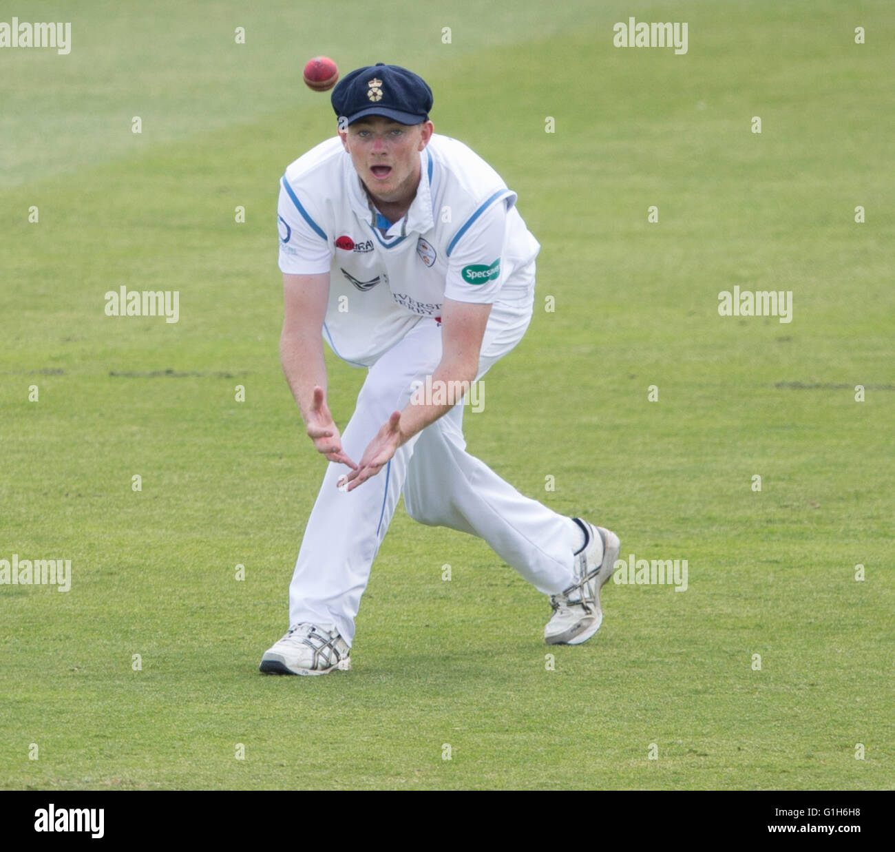 Cricket ground chelmsford 2016 hi-res stock photography and images - Alamy