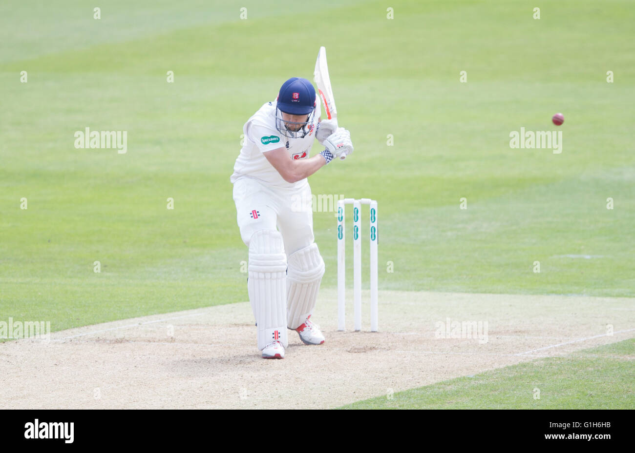 Cricket ground chelmsford 2016 hi-res stock photography and images - Alamy