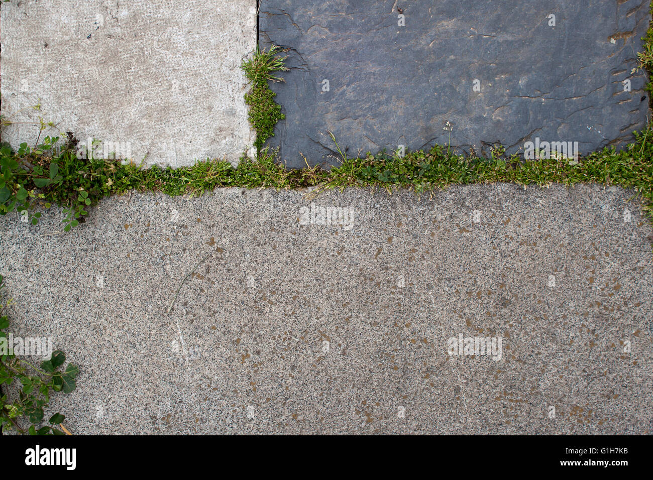 Geometric stone path with green plants and moss Stock Photo - Alamy