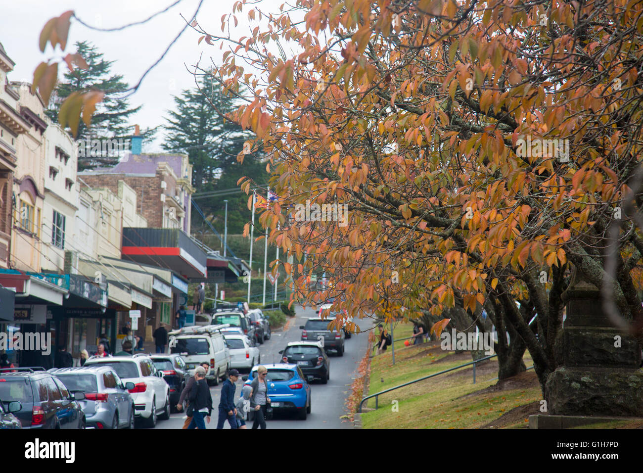 Leura Cascades, Blue Mountains, Australia By SonnarGauss On, 58% OFF