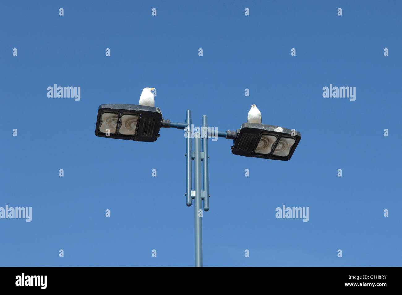 Two streetlights hi-res stock photography and images - Alamy