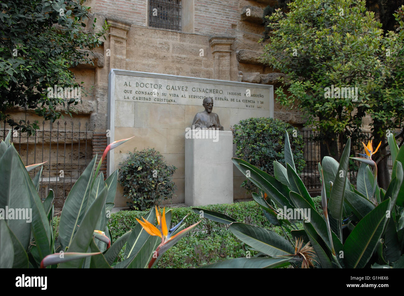 statue at malaga cathedral of an old bishop Stock Photo - Alamy