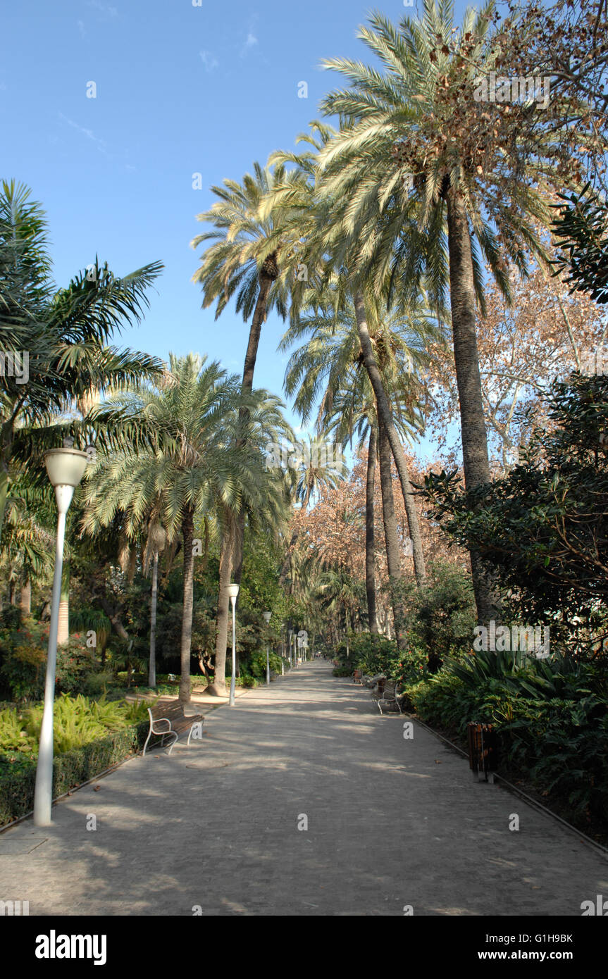 Malaga park hi-res stock photography and images - Alamy