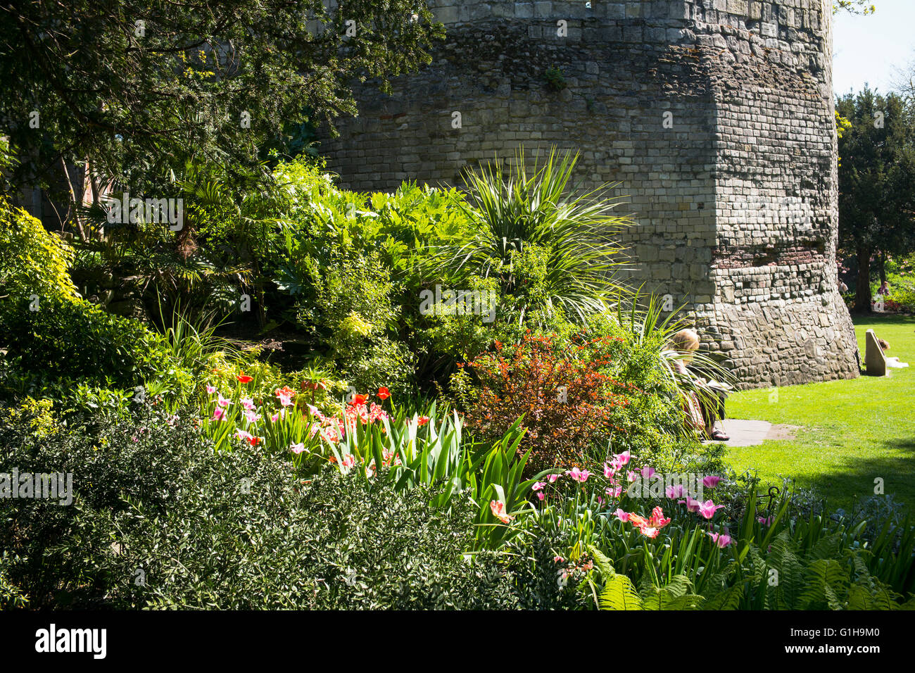 Emperor Servius's fortress wall more than 1700 years after construction ...