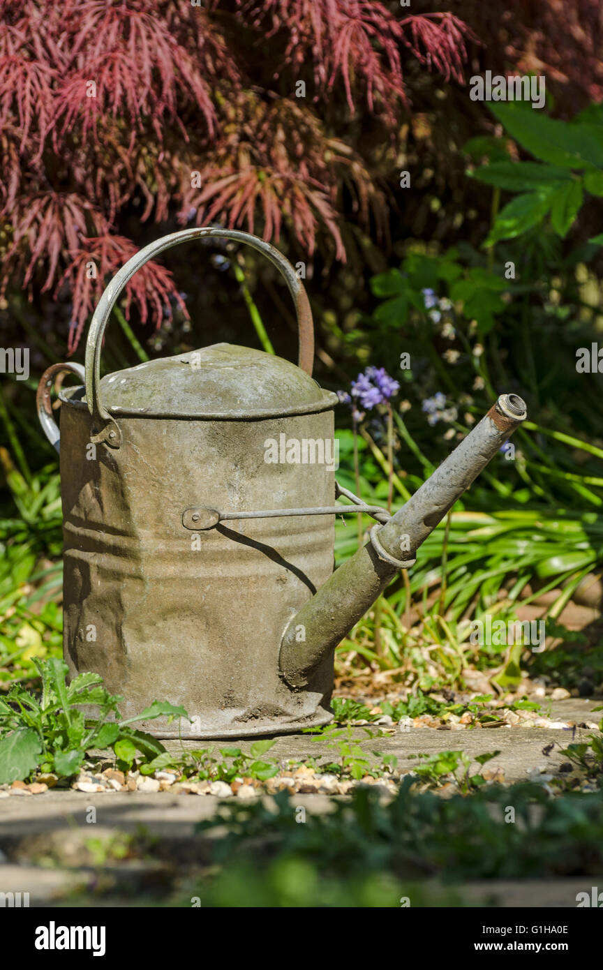 Rustic Galvanized Metal