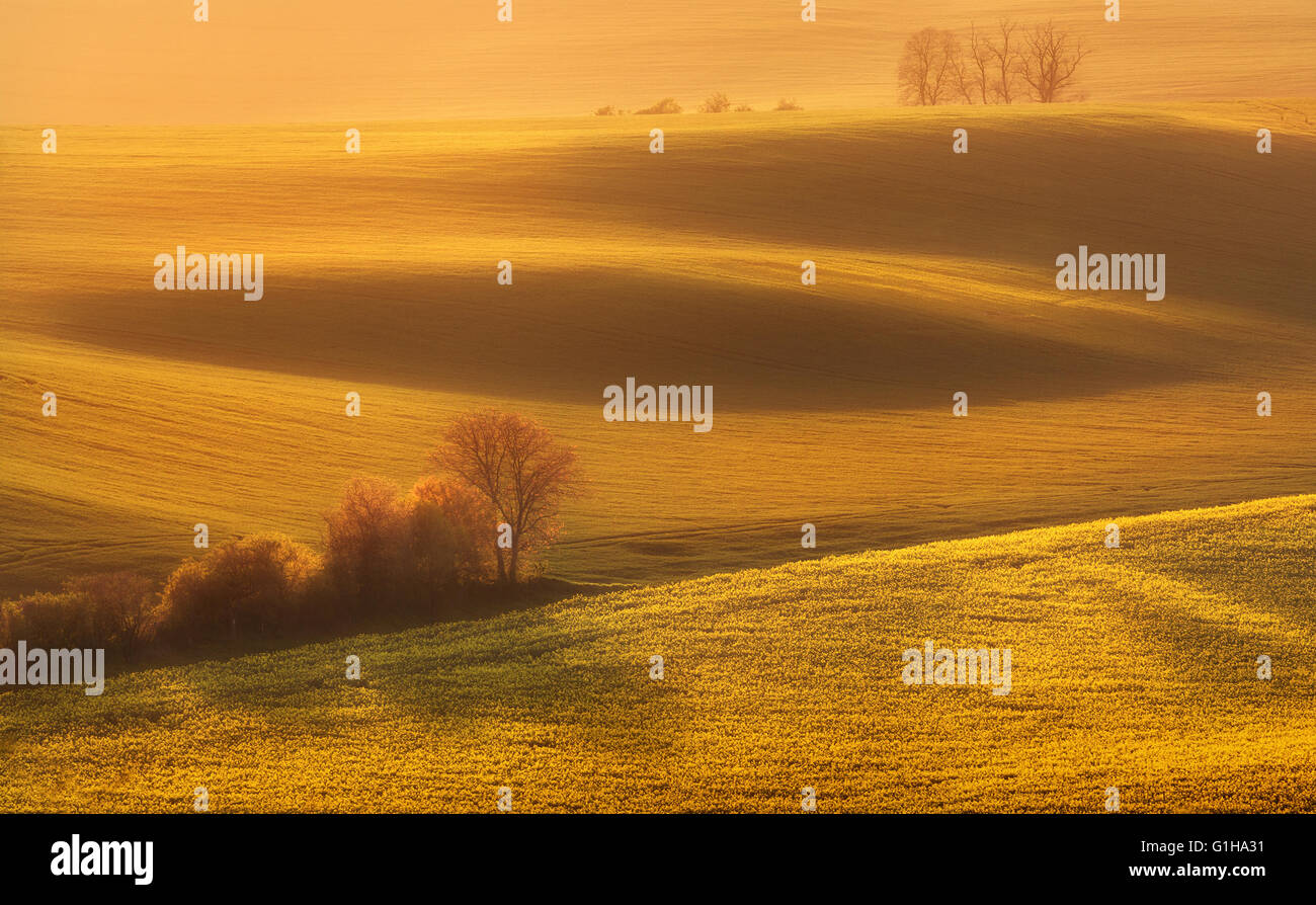 Beautiful spring landscape in South Moravia with green fields, trees ...