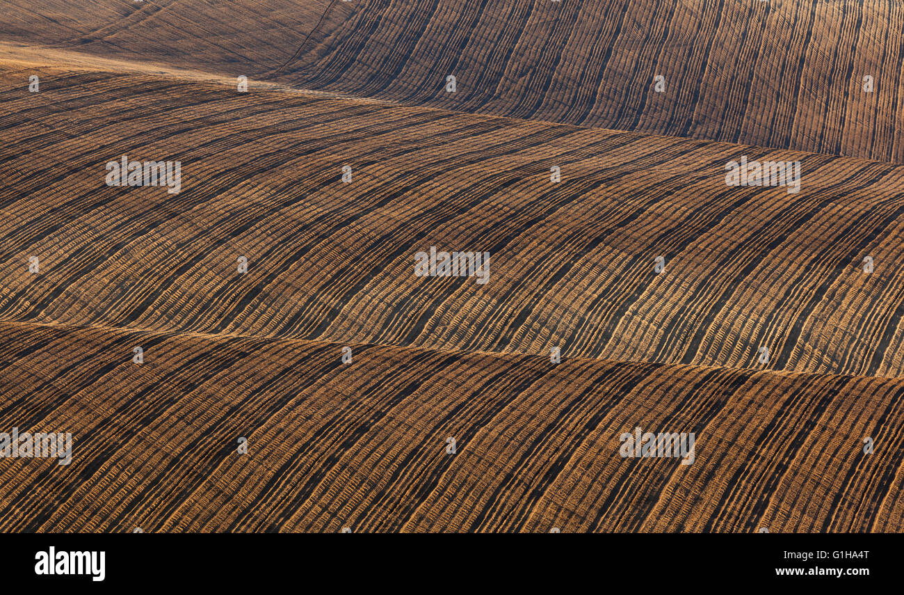 Beautiful concept landscape with striped fields of South Moravia at ...