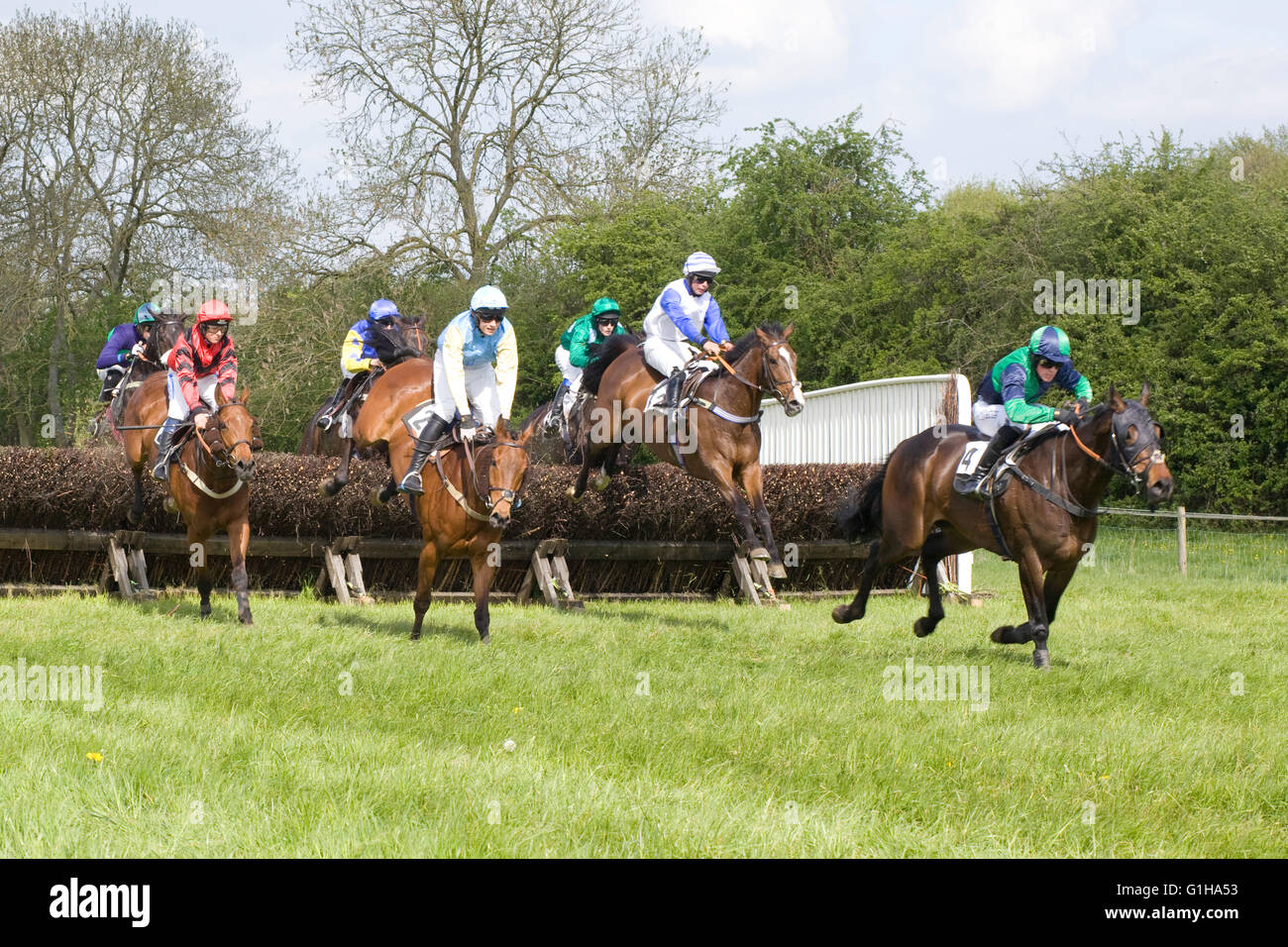 Fence racing horses jockey grass track jumping hi-res stock photography ...