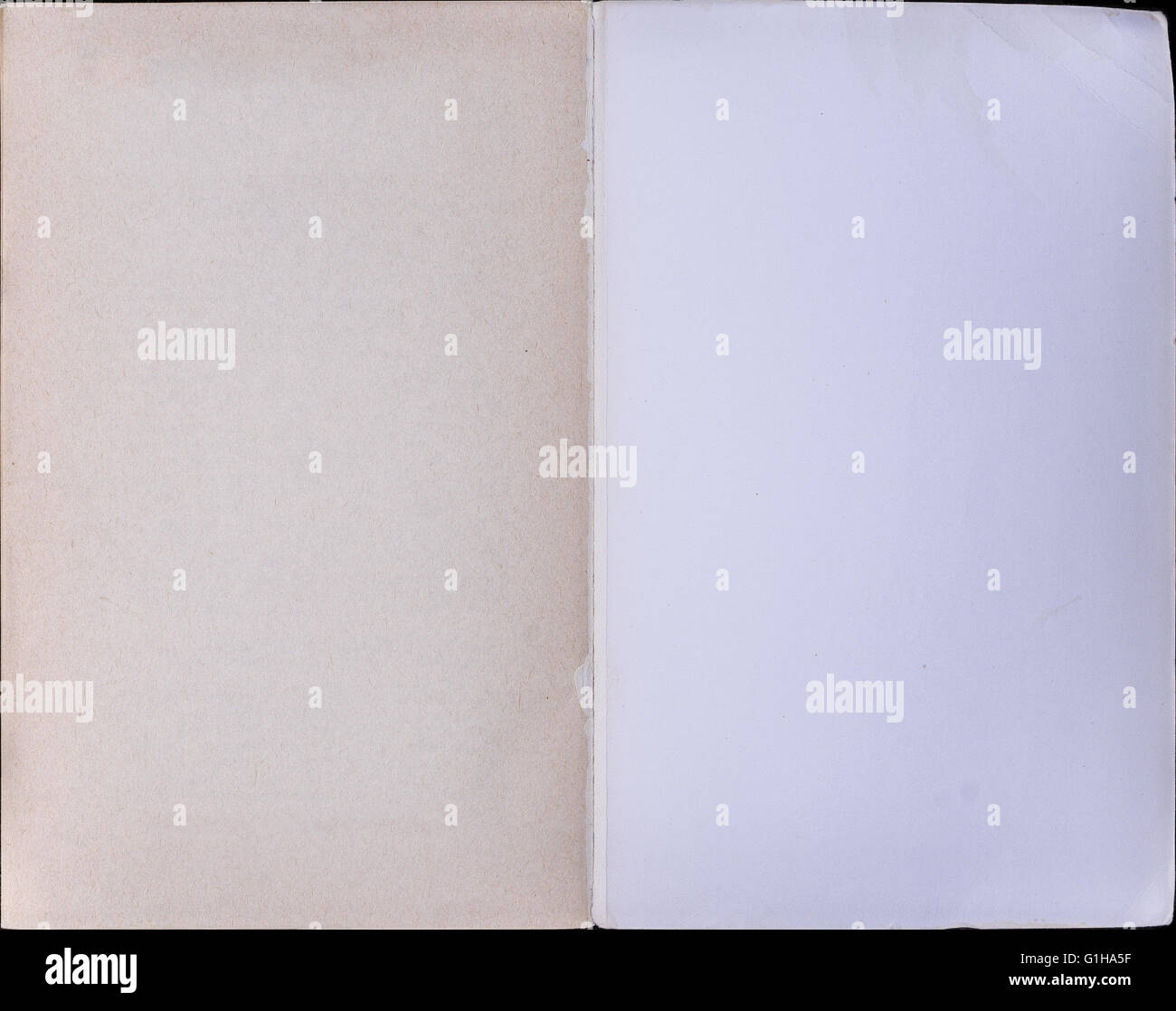 Old grunge book opened to the last page showing aged textured pages ...