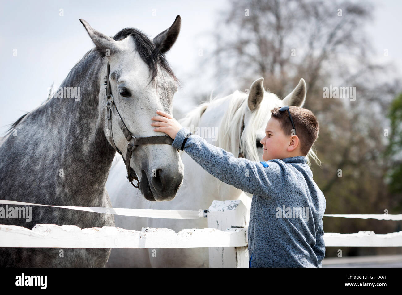 Teen boy riding horse hi-res stock photography and images - Alamy