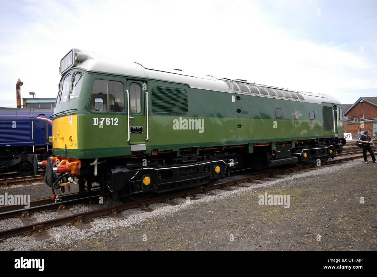 Diesel and steam locomotives in a yard Stock Photo - Alamy