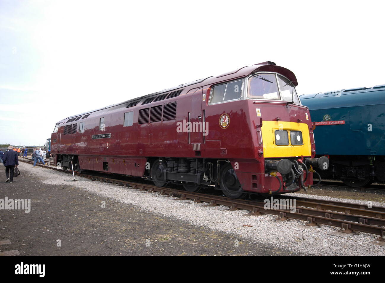 Diesel and steam locomotives in a yard Stock Photo - Alamy