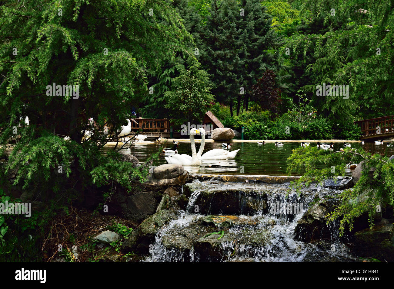 Figures dancing gracefully Stock Photo - Alamy