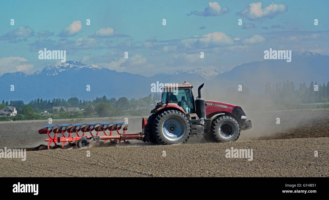 Farming in dry conditions Stock Photo - Alamy