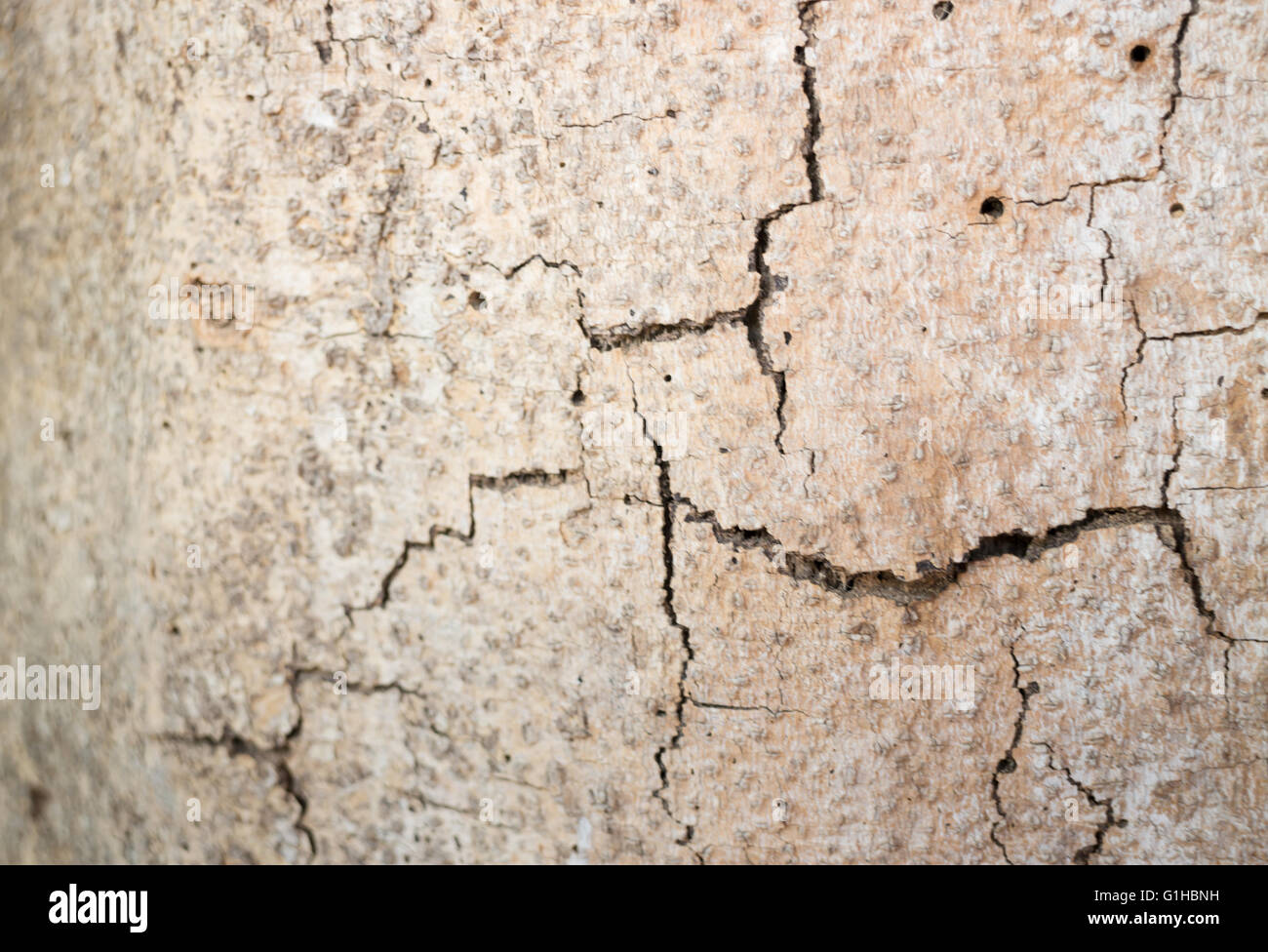 Classic old wooden texture background, stock photo Stock Photo - Alamy